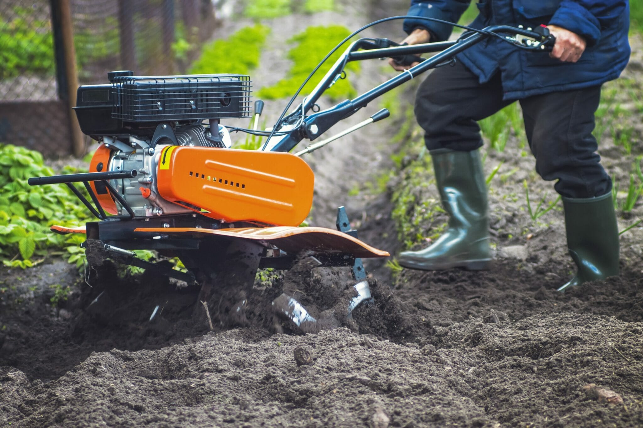 Tuinfrees onderhouden in 5 stappen - WD-40 België